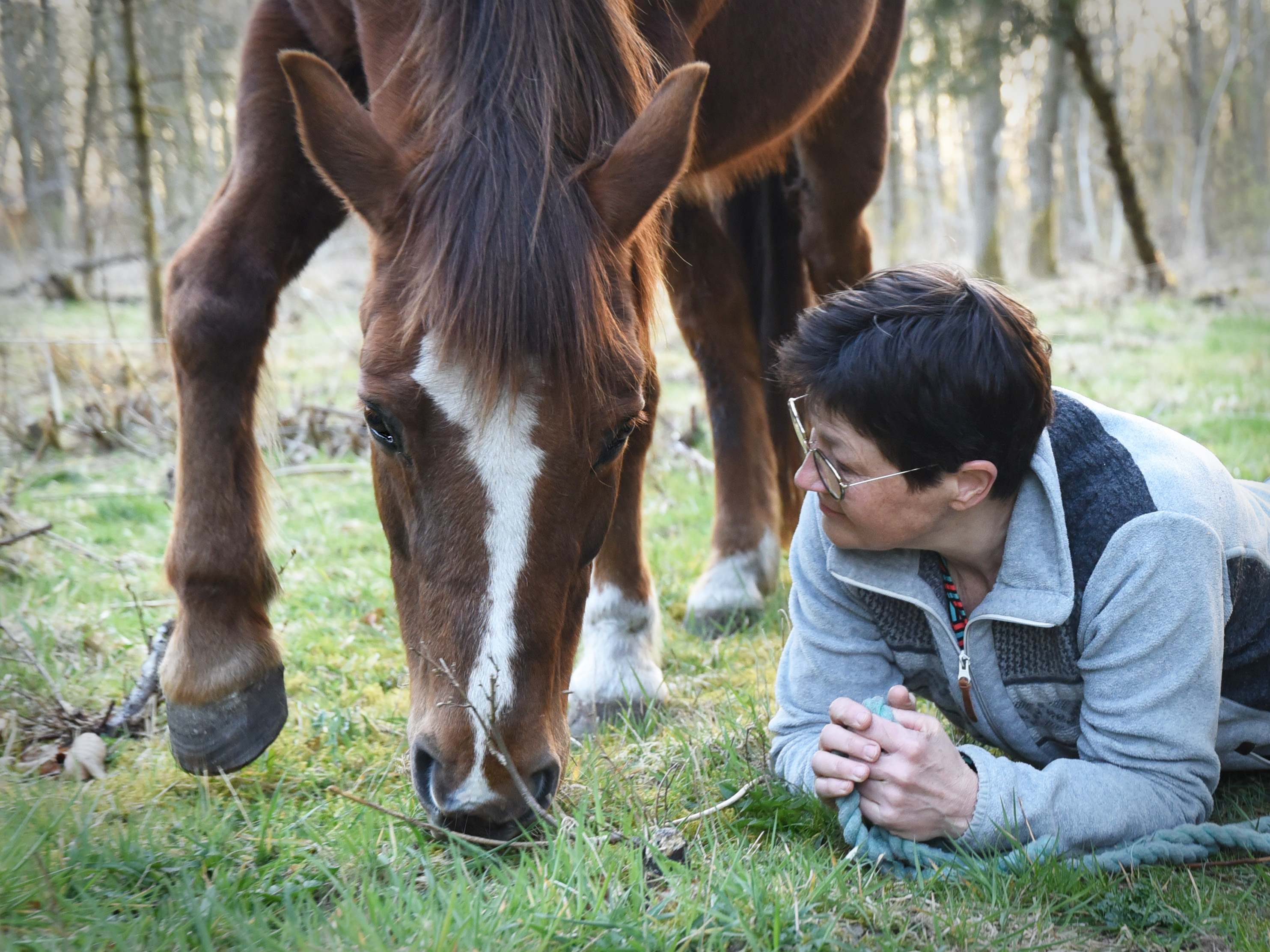 Become your own stable master and create a closer collaboration with ...